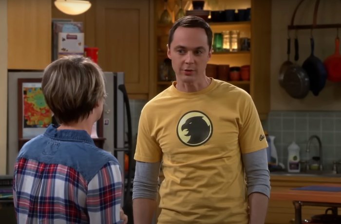 The Big Bang Theory Alums Who Have, Haven't Made Spinoff Cameos | Us Weekly