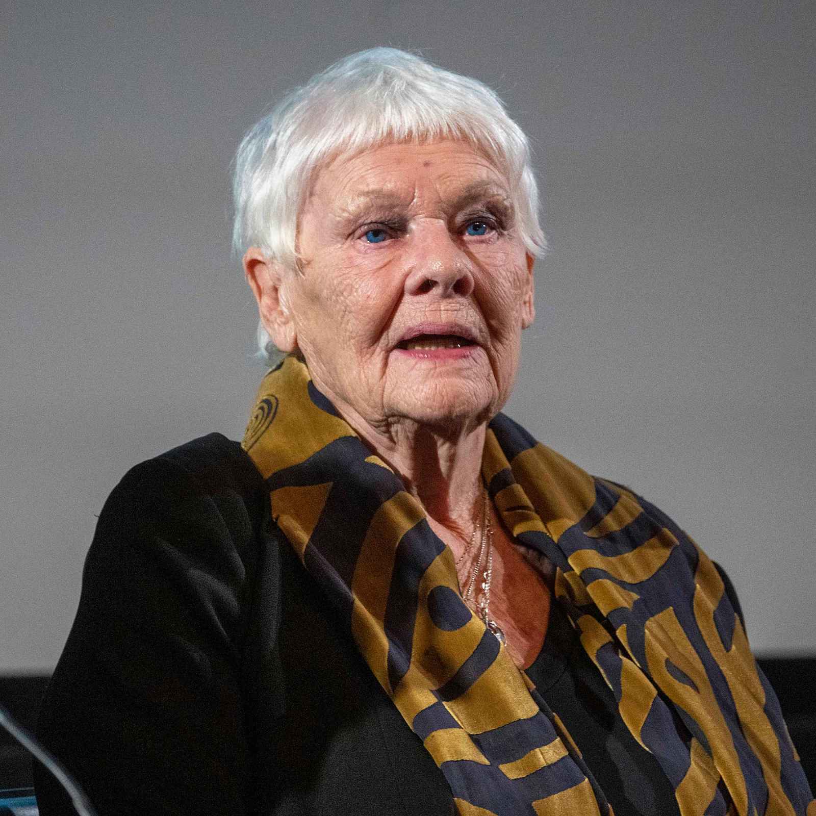 Judi Dench Can't Go Out Alone Due to Vision Loss, Has 'No Eyesight ...