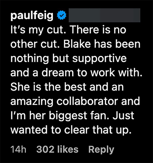A Simple Favor Director Paul Feig Addresses Comment About Blake Lively ...