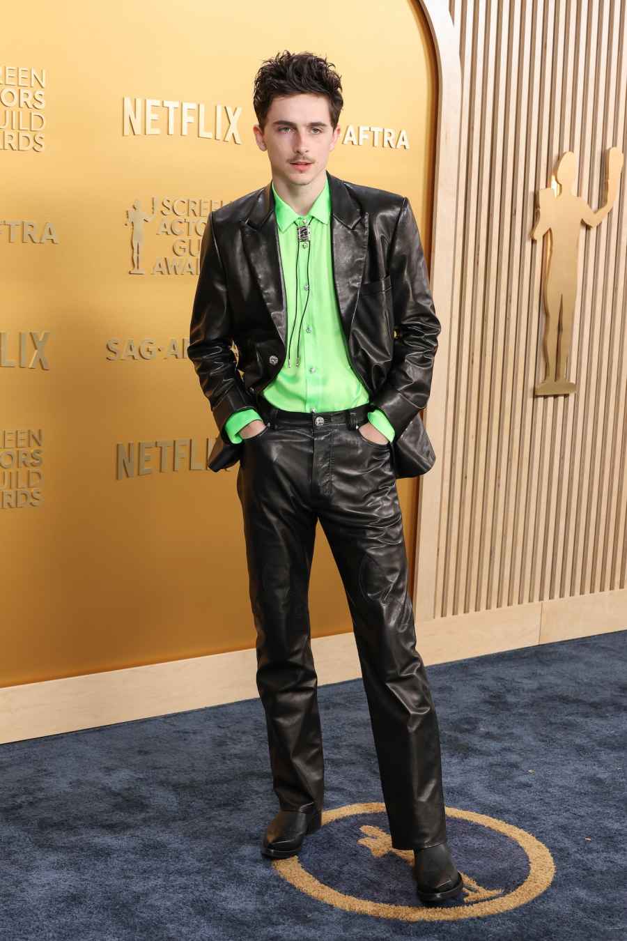 Timothee Chalamet Flies Solo at 2025 SAG Awards, Kylie Jenner Skips ...