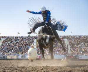 Attend the Desert Rodeo for a True Country Experience | Us Weekly