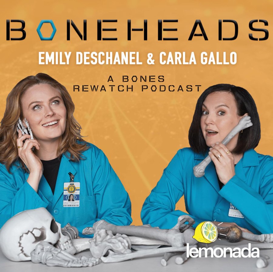 Emily Deschanel Has Never Seen Bones Costar David Boreanaz on Buffy ...