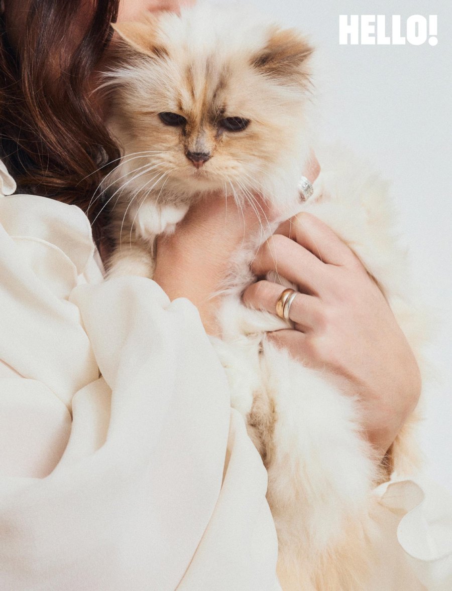 Karl Lagerfeld's Cat Choupette: Inside Her $1.5M Fortune | Us Weekly