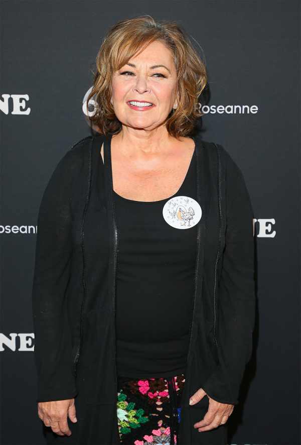 Roseanne Barr's Family Guide: Her Kids, Ex-Husbands and More | Us Weekly