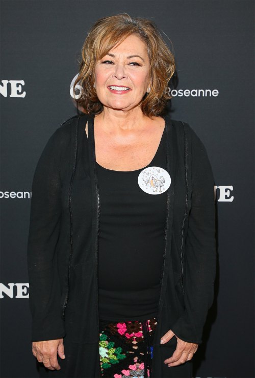 Roseanne Barr's Family Guide: Her Kids, Ex-Husbands and More | Us Weekly