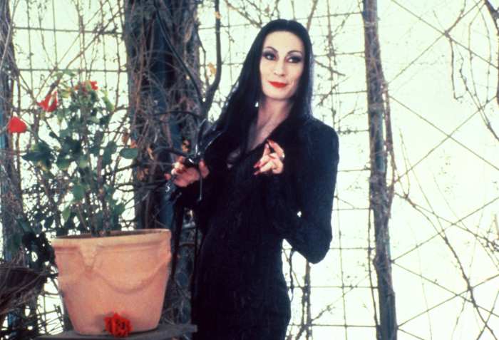 Anjelica Huston comparte su historia de cáncer y recuperación después ...