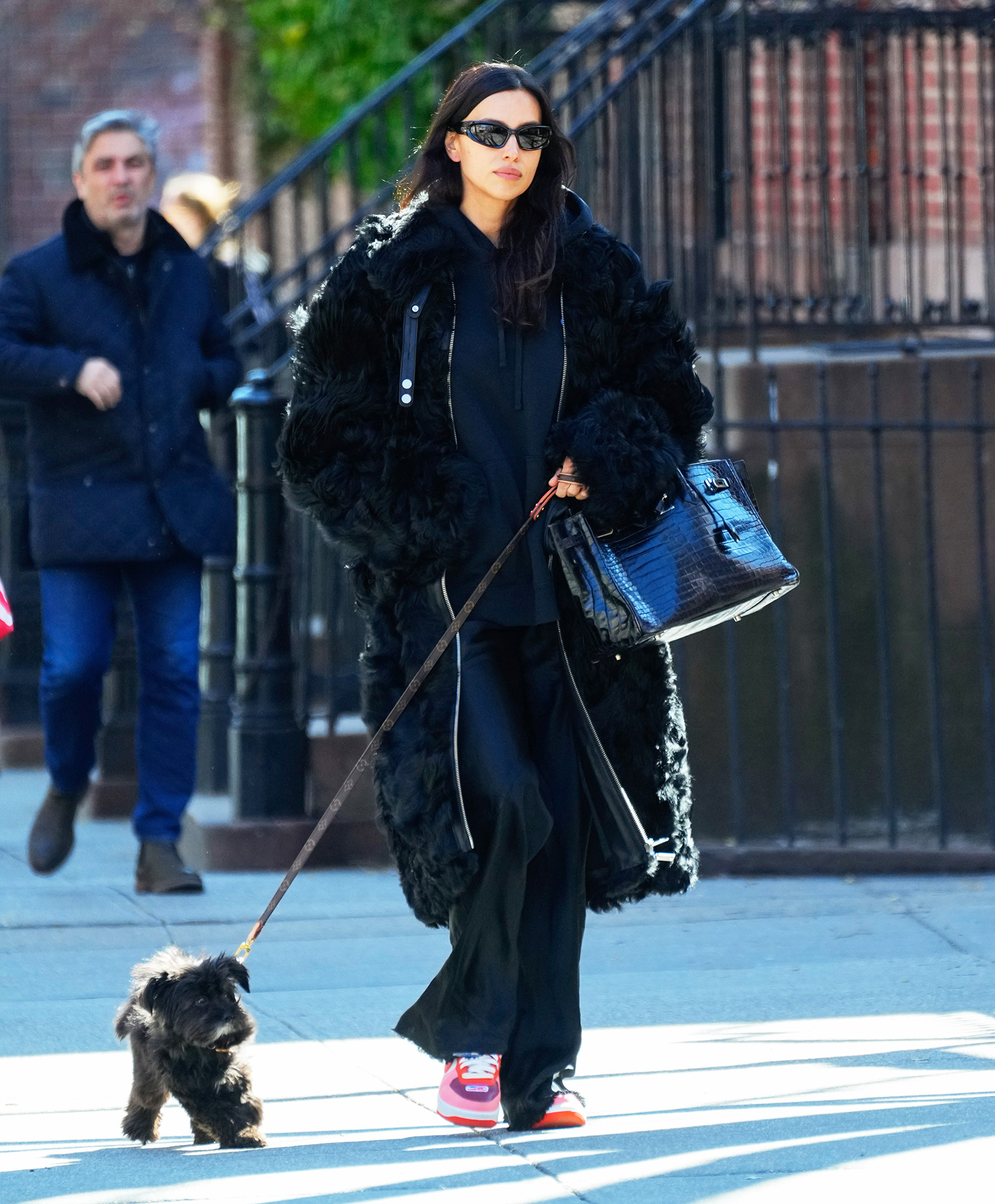 Irina Shayk Takes Her $60,000 Birkin Bag and Her Dog for a Walk | Us Weekly
