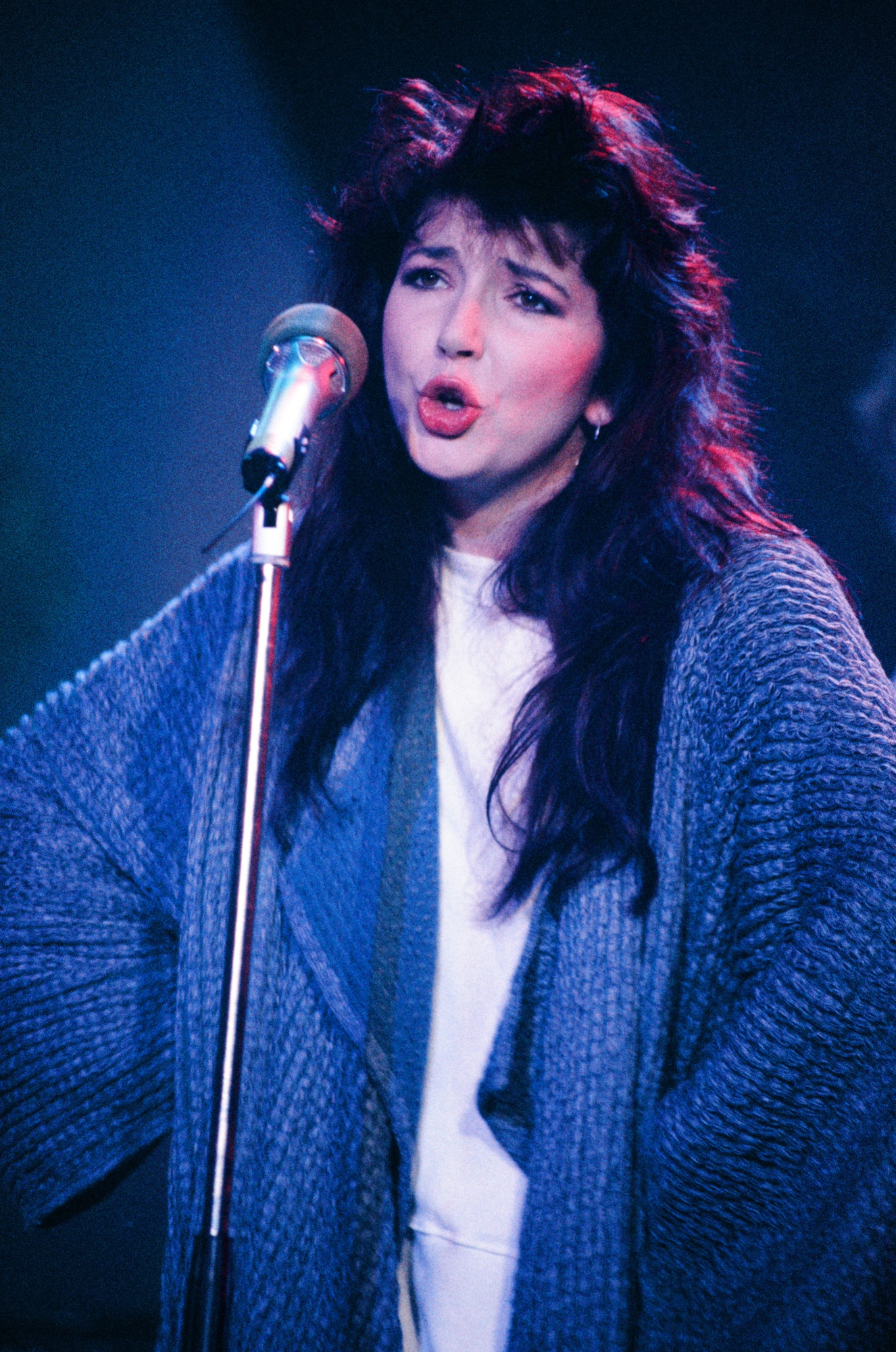 Kate Bush Motherhood Over Music: Inside Her Private Life | Us Weekly