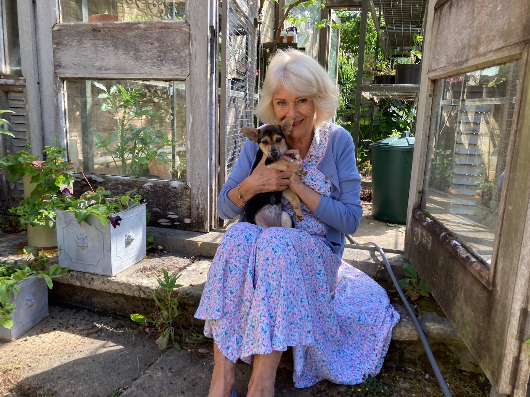 Queen Camilla Shares 1st Photo of New Rescue Dog Moley | Us Weekly