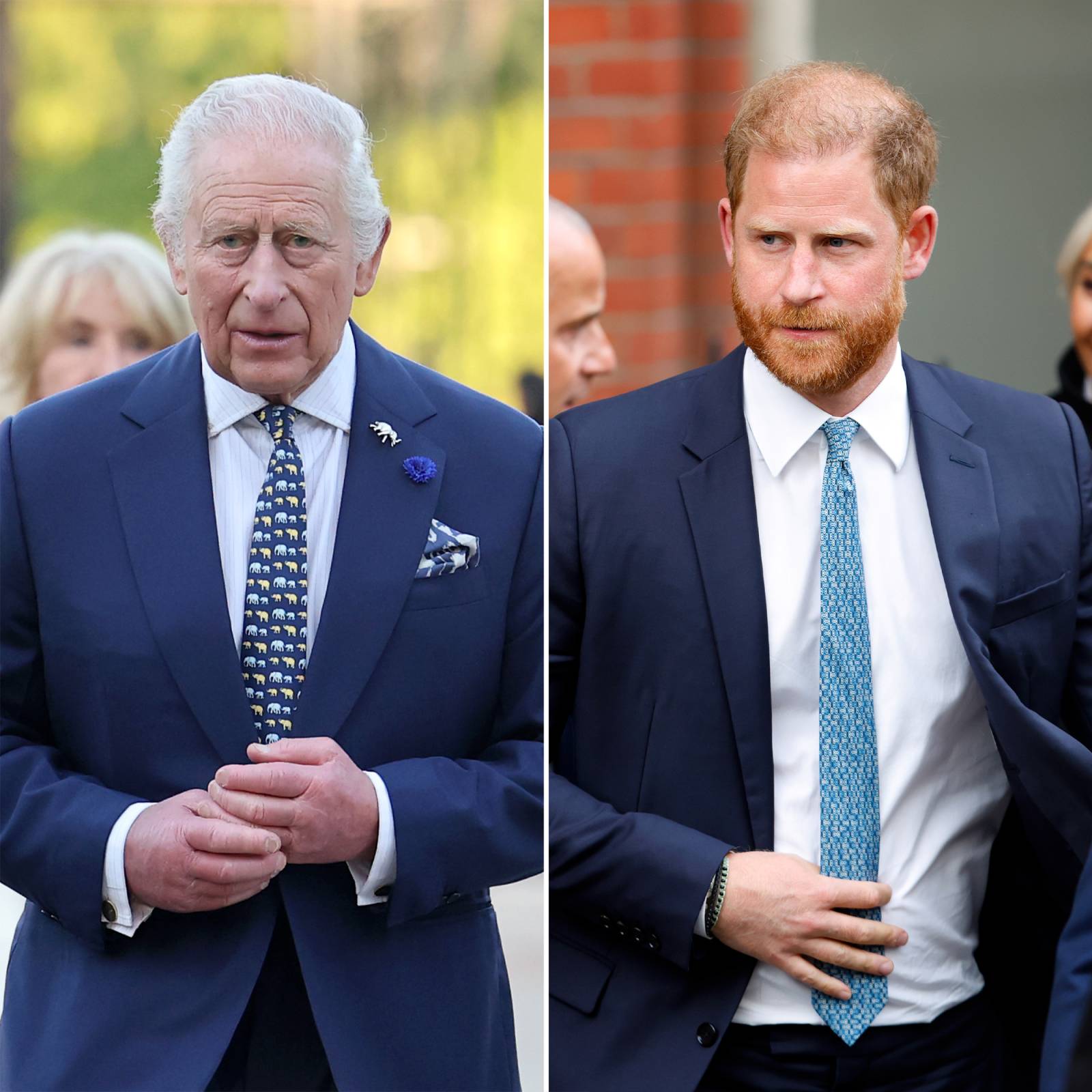 Will King Charles Reunite With Prince Harry on North America Trip? | Us ...