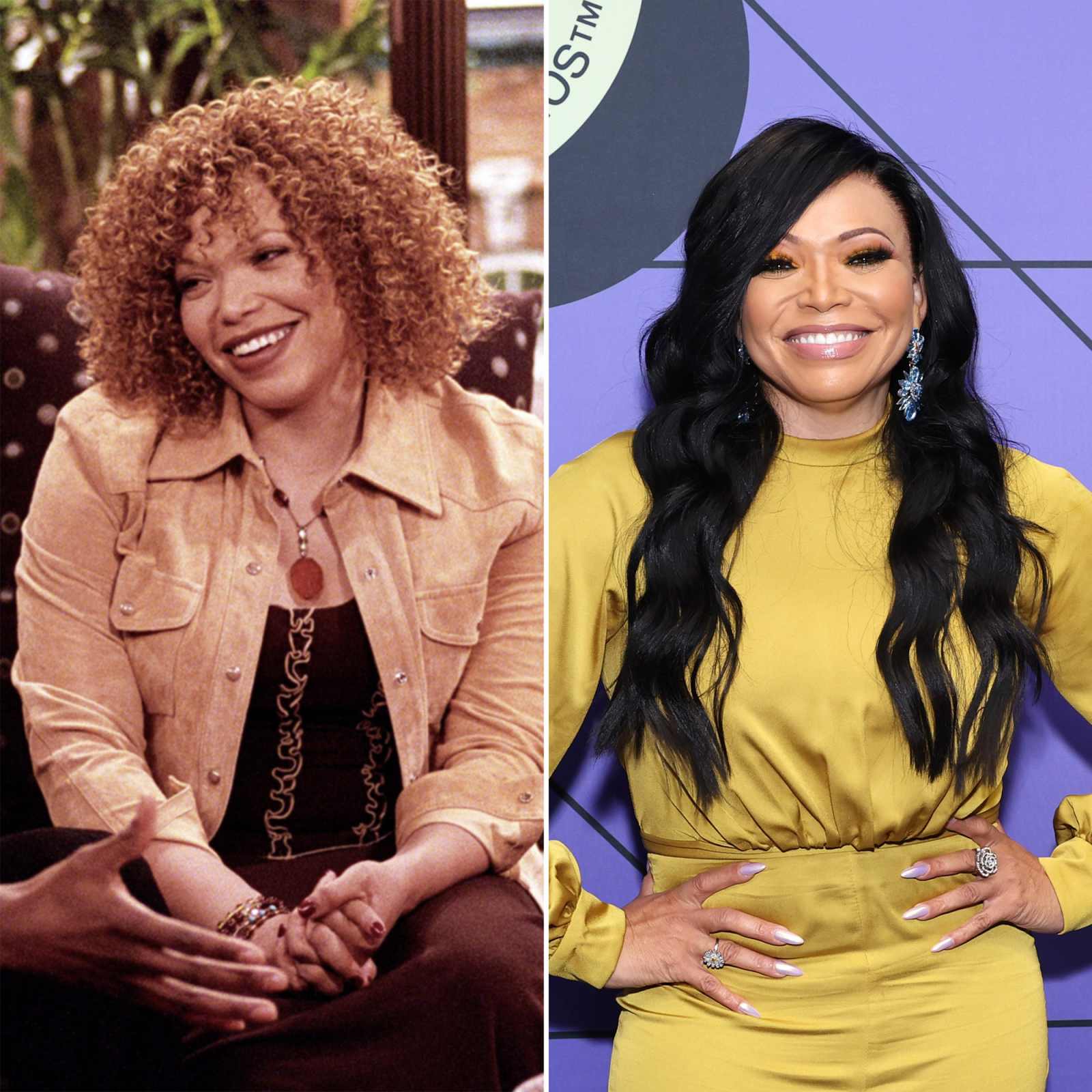 My Wife and Kids Cast: Where Are They? Damon Wayans, Tisha Campbell ...