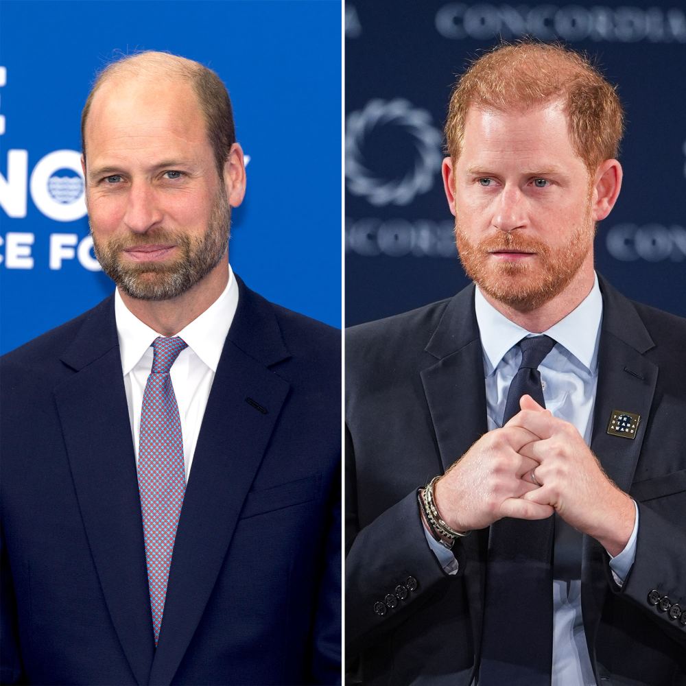 Prince Harry’s Friend Jaco van Gass Honored by Prince William | Us Weekly