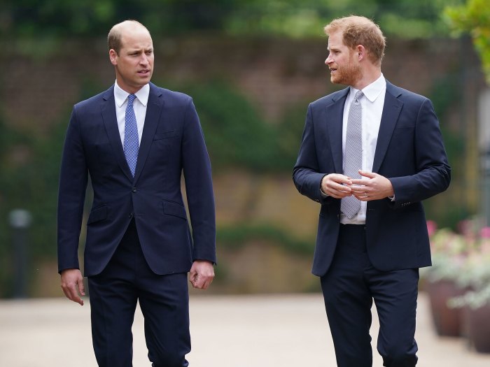 Prince William Hints at Harry Feud During Army Visit | Us Weekly