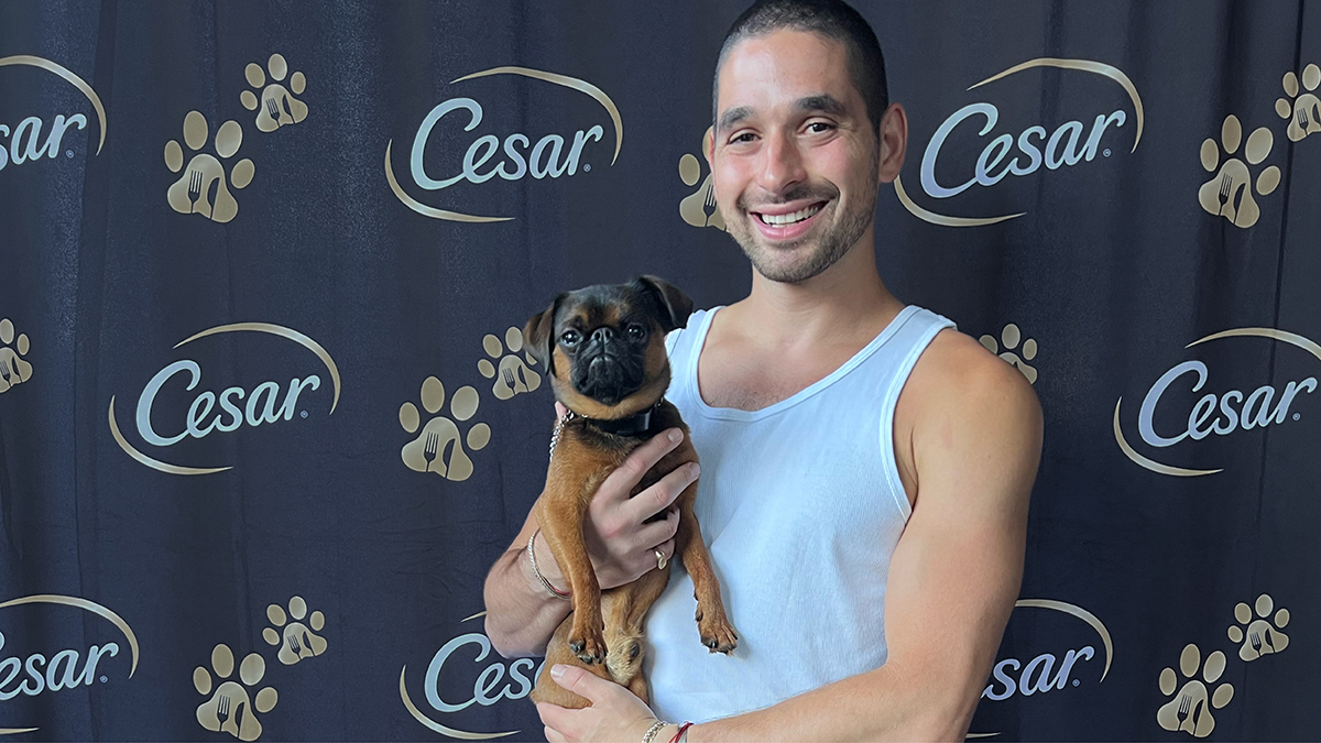 CESAR Restaurant Weekend Treats VIP Dogs to Star Style Dining | Us Weekly