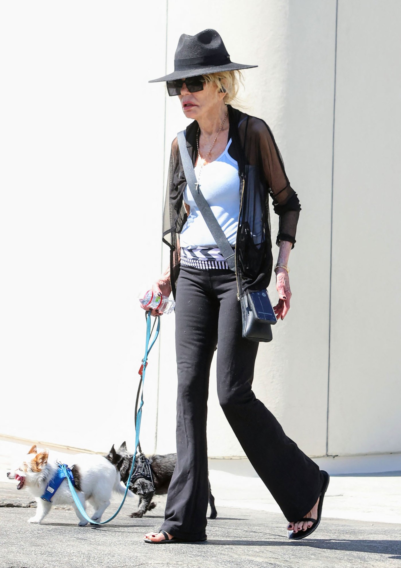 Dyan Cannon, 88, Steps Out After Revealing 'Friends With Benefits' | Us ...