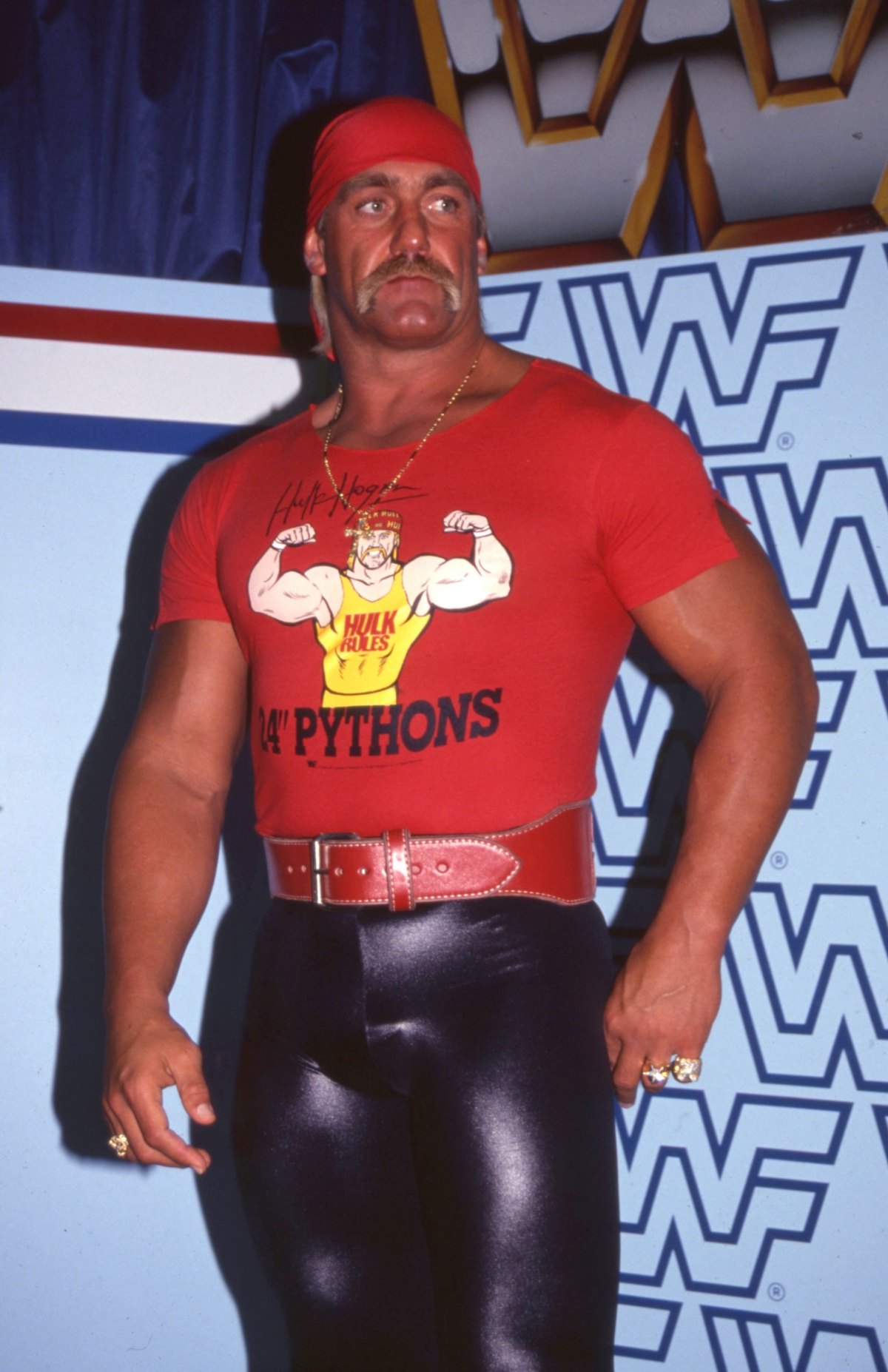 Hulk Hogan a través de los años: de estrella de la lucha libre a ...