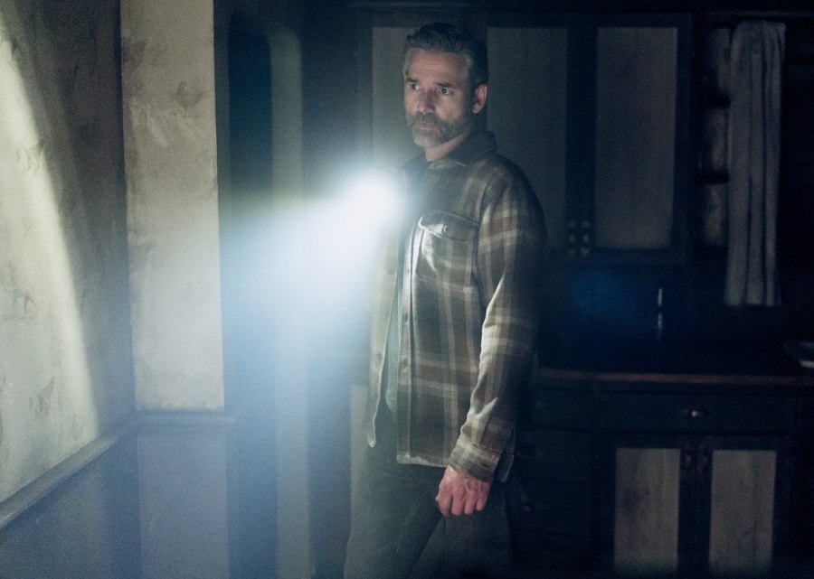 Untamed Season 2: Everything You Need to Know About Netflix's Hit Show ...