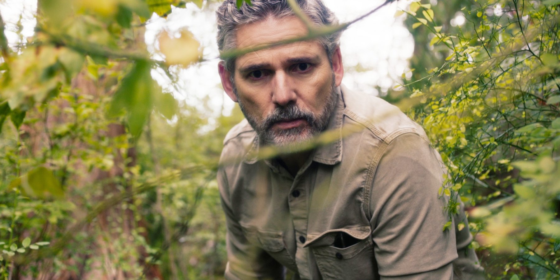Untamed Season 2: Everything You Need to Know About Netflix's Hit Show ...