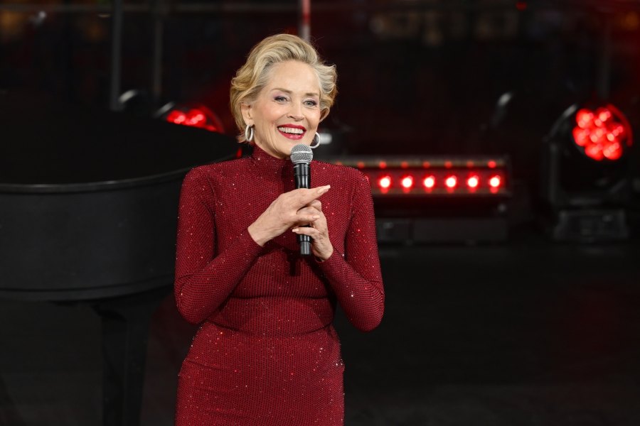 Why Sharon Stone Is Wearing 'Lady Underwear' Again After 25 Years | Us ...