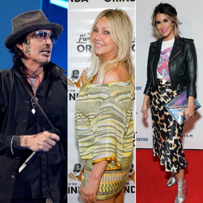 Tommy Lee's Ex Heather Locklear 'Likes' Video Featuring New Wife ...
