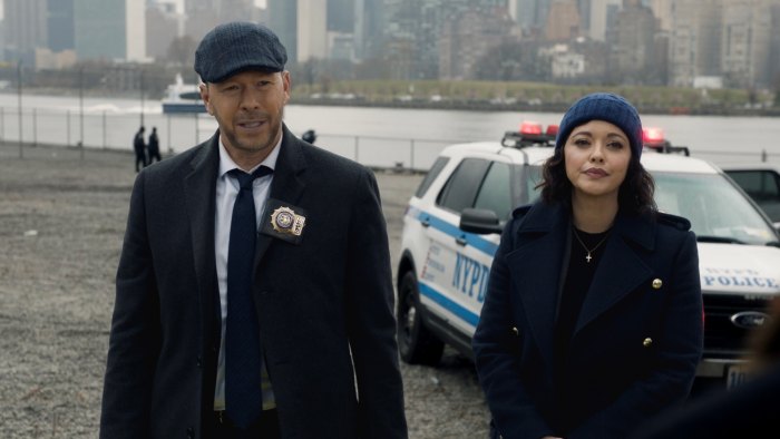 Blue Bloods' Danny Reagan and Maria Baez's Relationship Timeline | Us ...