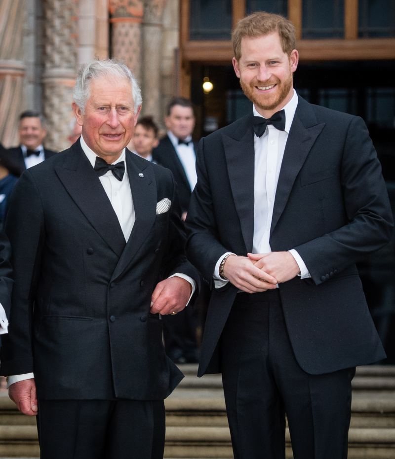 Prince Harry Visits Charity Honoring Princess Diana After Charles ...