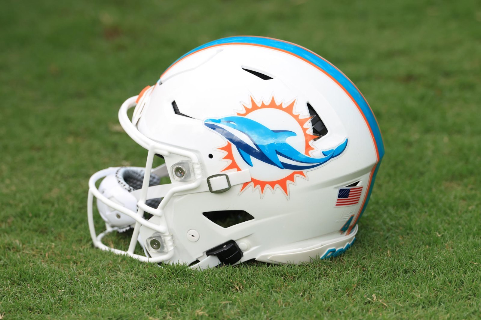 Dolphins Coach Ryan Crow Accused of Choking Woman During Dispute | Us ...