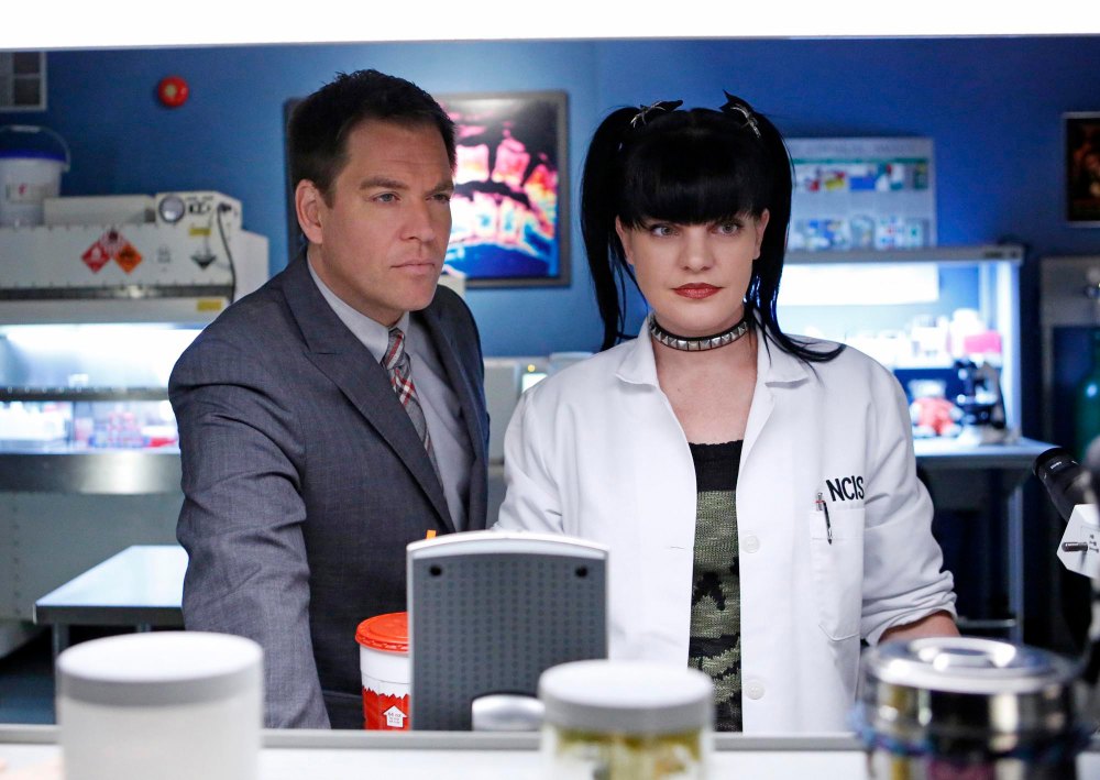 NCIS' Michael Weatherly Didn't Know About Sister's Death for 3 Days ...
