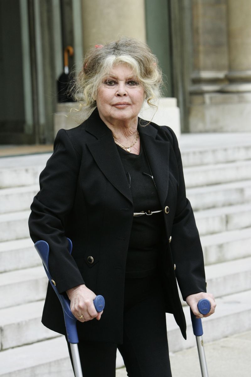 Brigitte Bardot, 91, Recovering After 3-Week Hospitalization | Us Weekly