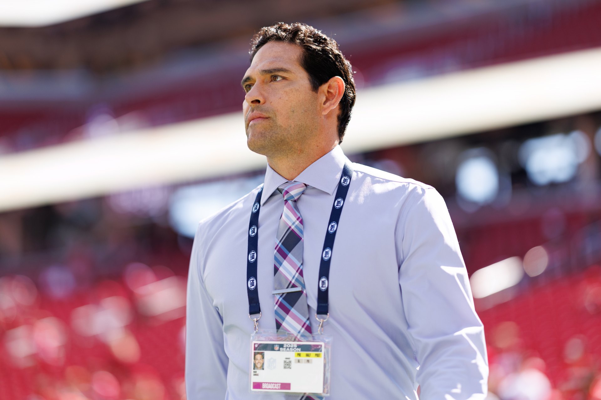 Surveillance Footage Reveals Bizarre Mark Sanchez Stabbing Incident ...