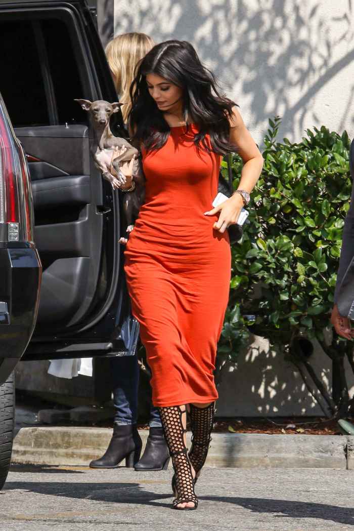 Kylie Jenner's Italian Greyhound Norman dies | Us Weekly