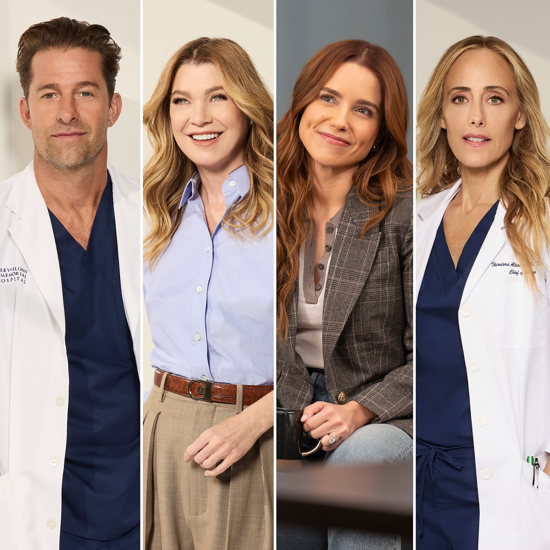 Grey's Anatomy Brings Scott Speedman, Sophia Bush Back Before No-Sex ...