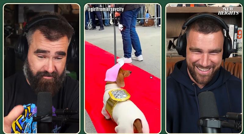Travis Kelce Reacts to Dog Dressed as Taylor Swift’s Ring for Halloween ...