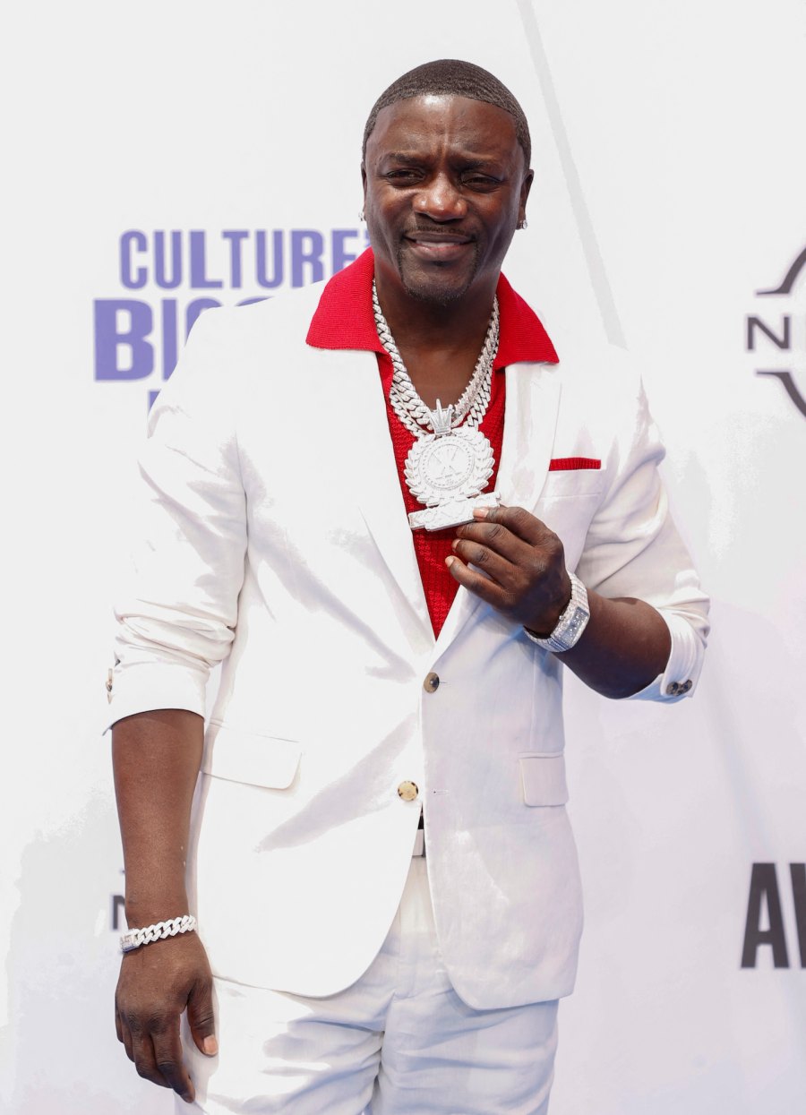 Singer Akon Arrested in Georgia on Warrant for Suspended License | Us ...