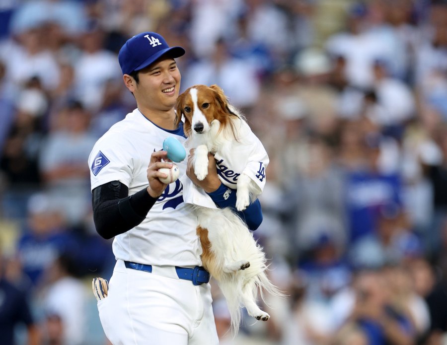 Shohei Ohtani Kissed His Dog Instead of His Wife After Winning MVP ...