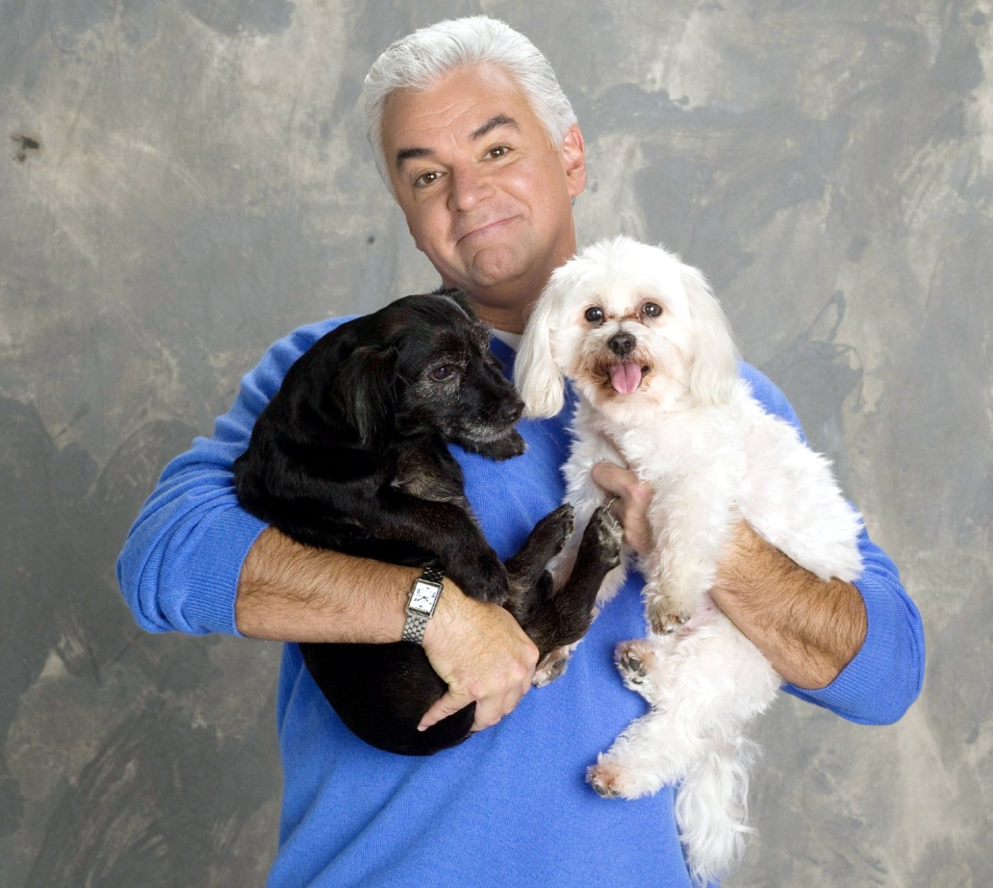 How to Watch the 2025 National Dog Show: Date, Time, Streamer, Dogs and ...