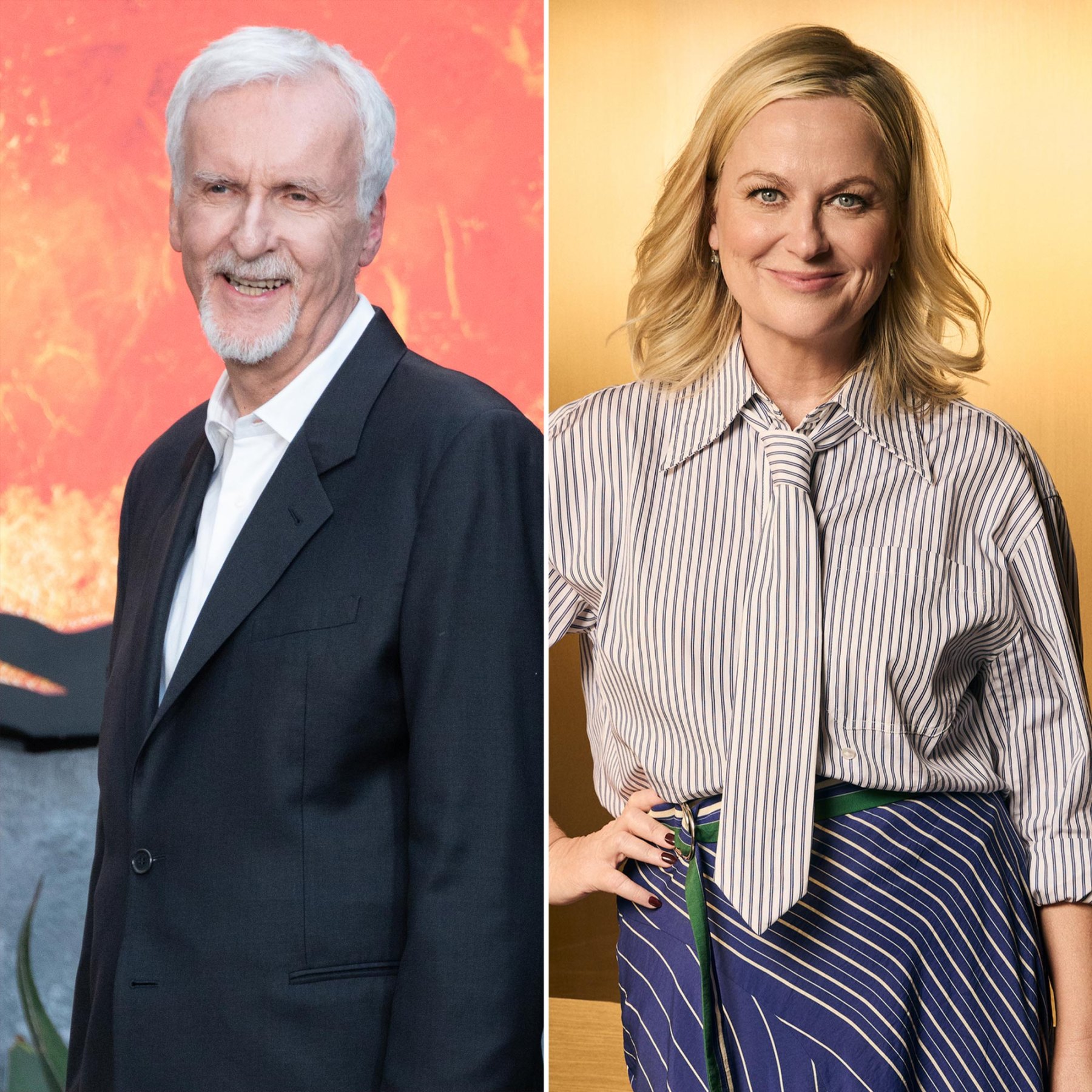 James Cameron Calls Amy Poehler's 2013 Golden Globes Joke 'Ignorant ...