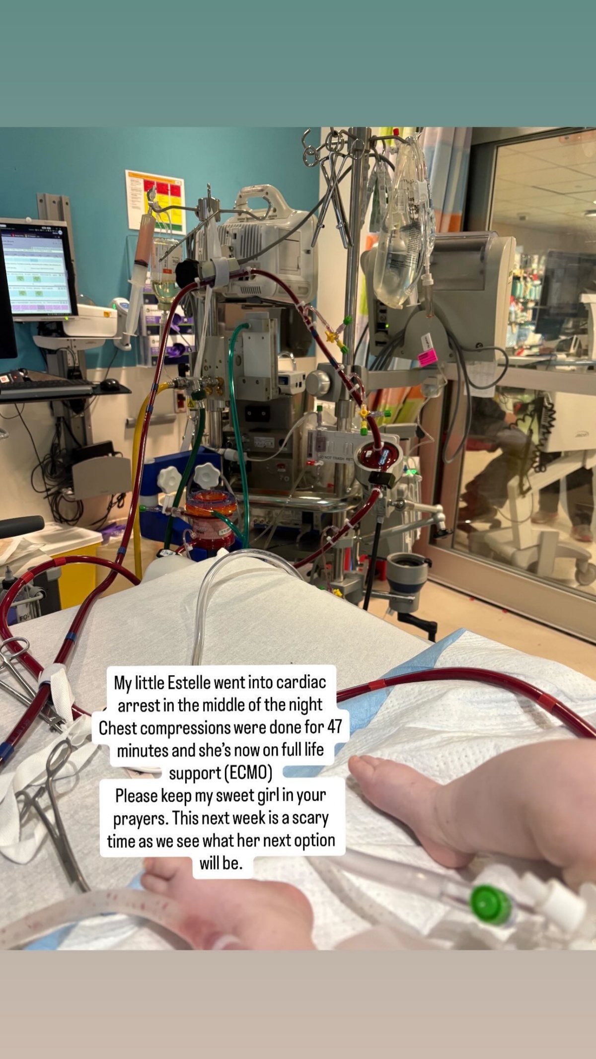 Influencer Estee Williams’ Baby on ‘Full Life Support’ After Cardiac ...