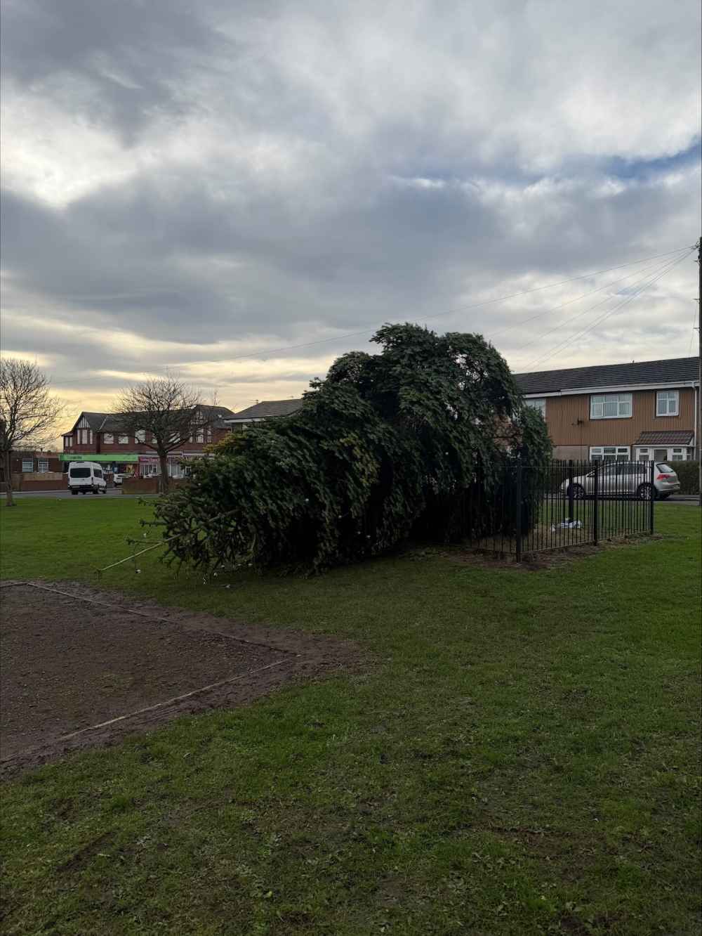 Vandals Chop Down Beloved Christmas Tree in England After Lighting ...