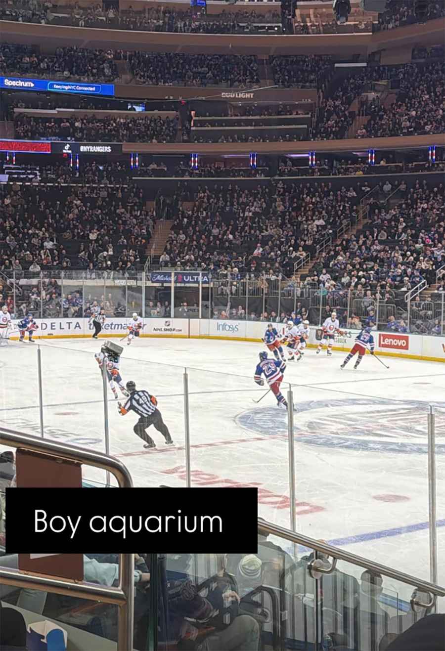 Amanda Batula Jokes About Checking Out NHL Guys After Kyle Cooke Split ...