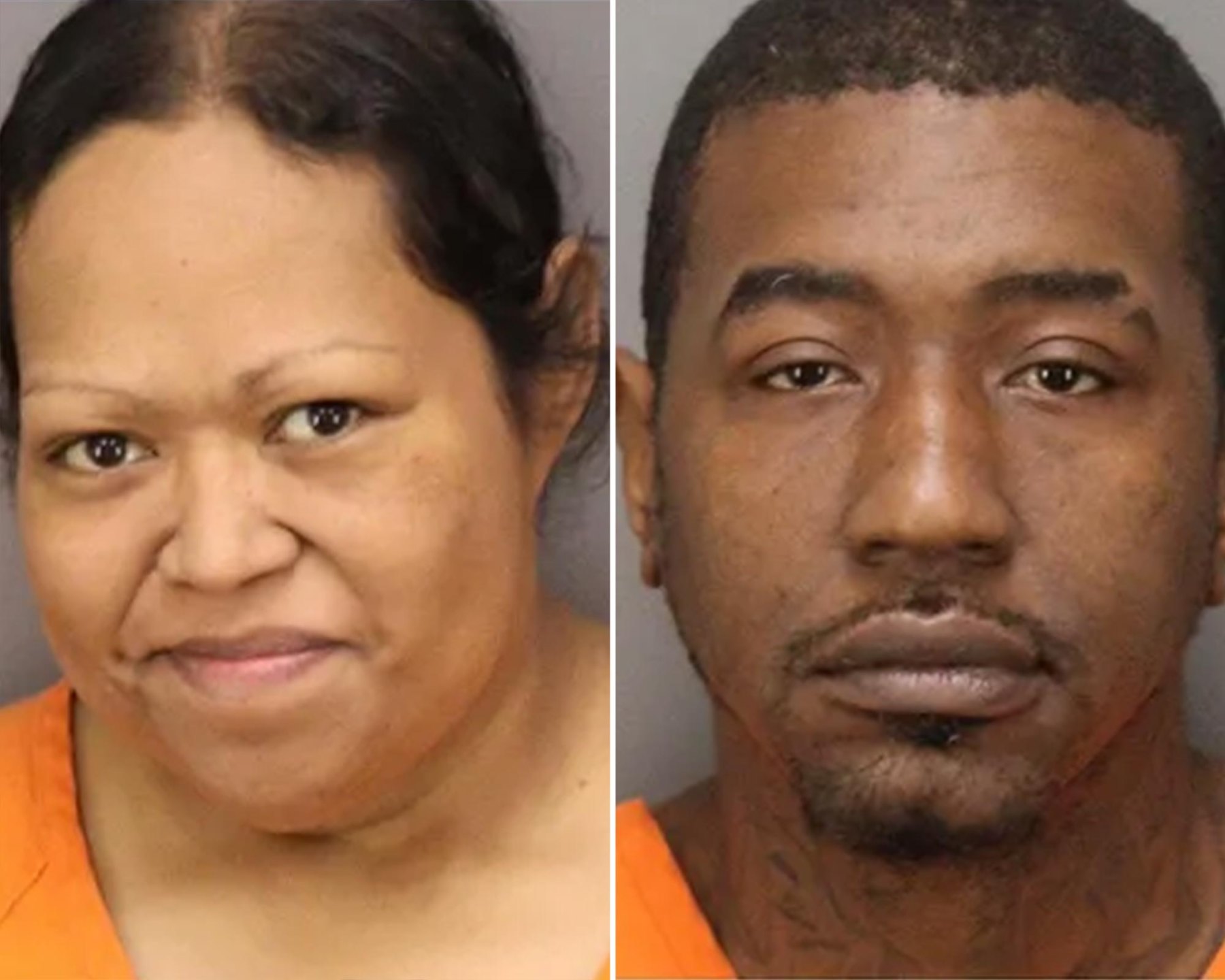 Florida Couple Arrested After Abandoning 9 Puppies and 2 Adult Dogs in ...
