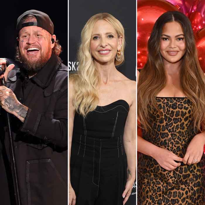 Jelly Roll, Sarah Michelle Gellar and Chrissy Teigen Join Star Search ...