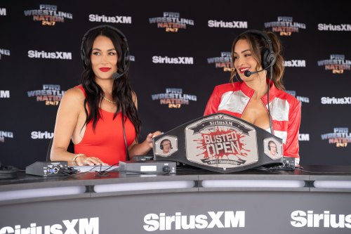 Brie Bella Makes Surprise WWE Return at Royal Rumble With Twin Nikki ...