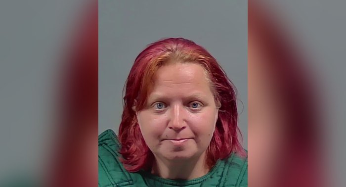 Florida Woman 'Instructed' Child on How to Murder a Baby in Roblox ...