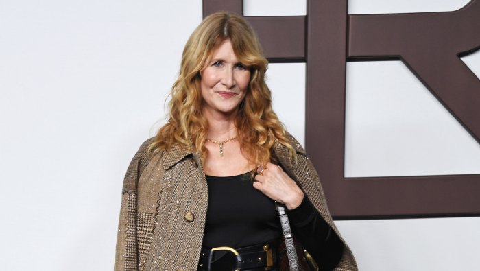Love Laura Dern's Versatile Handbag? Copy the Look for $36 | Us Weekly