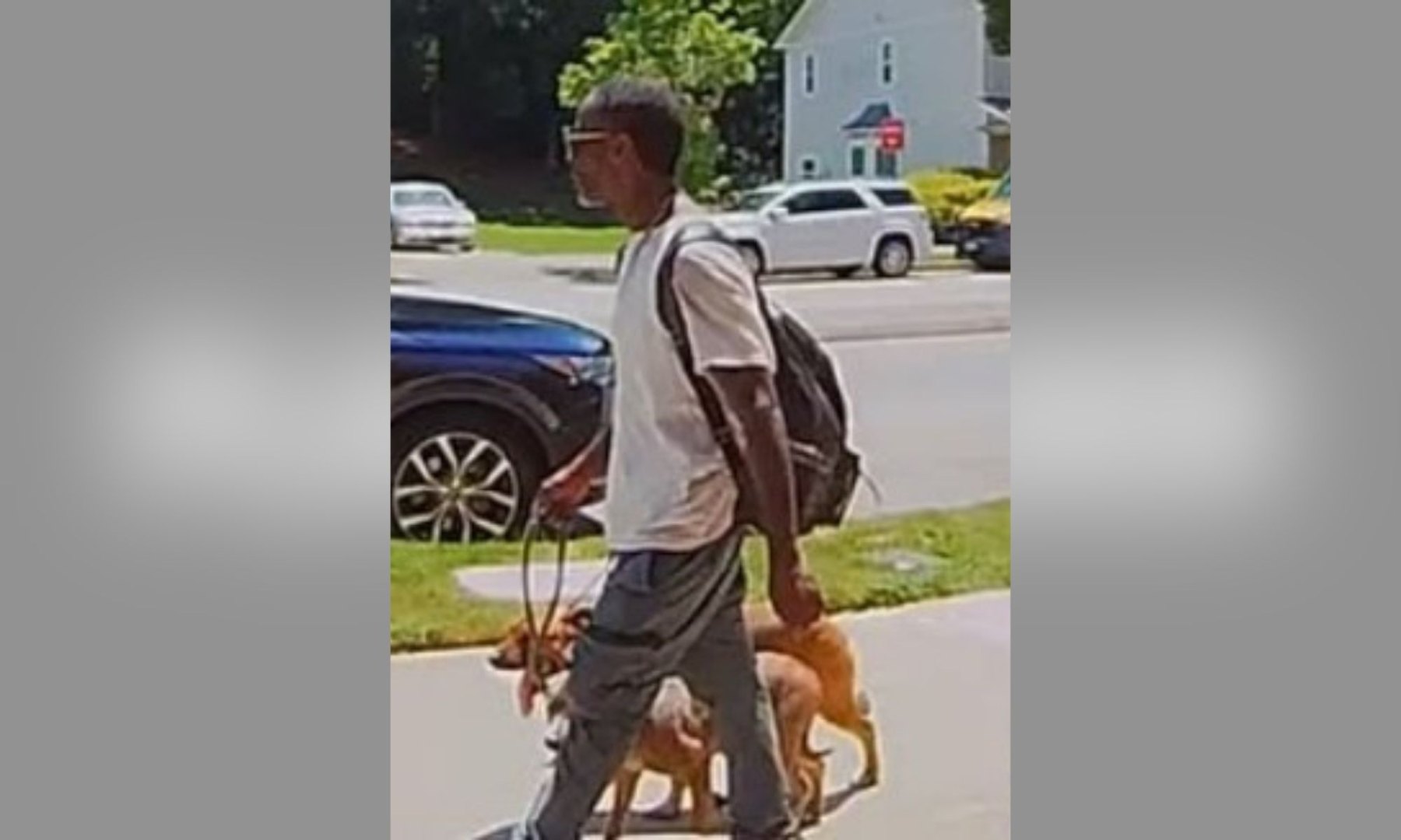 Georgia Police Identify Suspect In 'Sickening' Animal Cruelty Case | Us ...