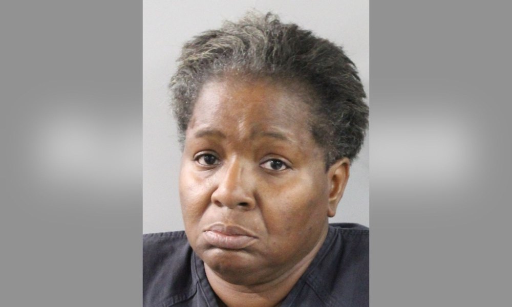 Fake Child Protective Services Worker Tried to Kidnap Children: Sheriff ...