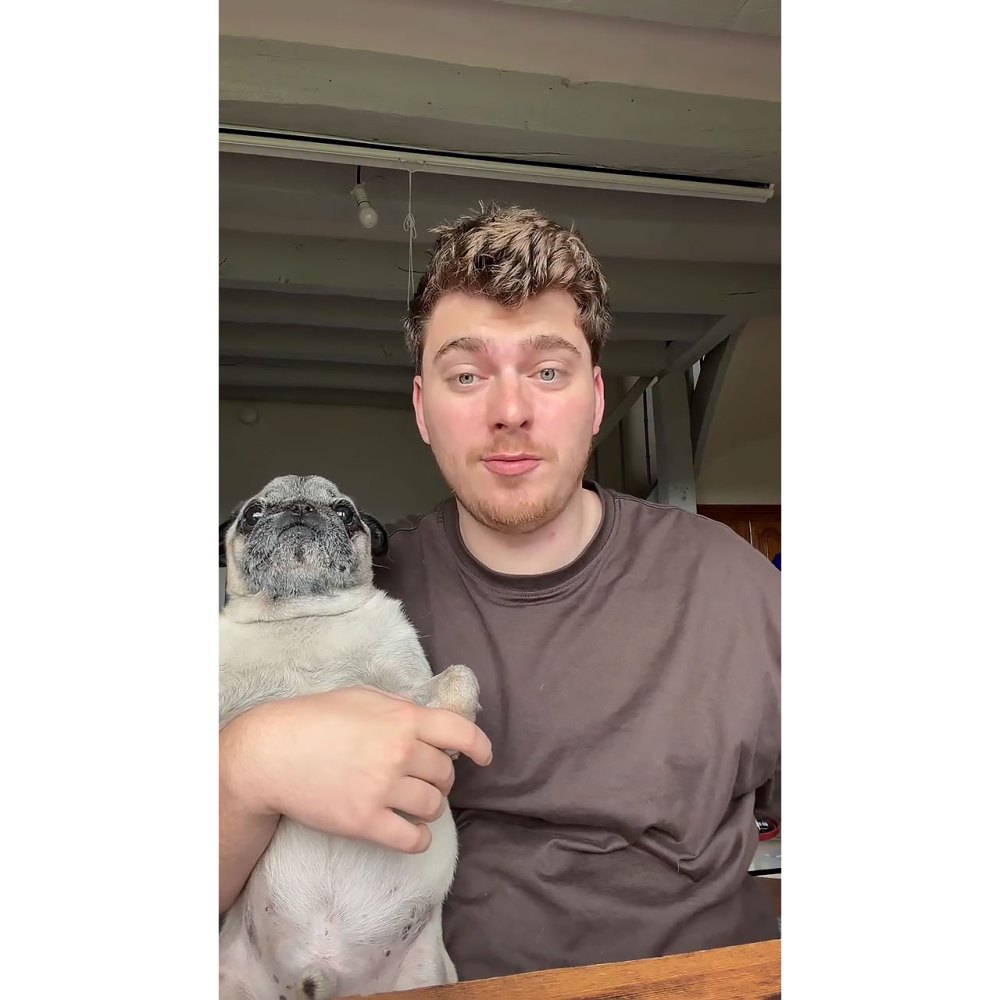 French Influencer Cyril Schreiner Admits He Faked Albert the Pug ...