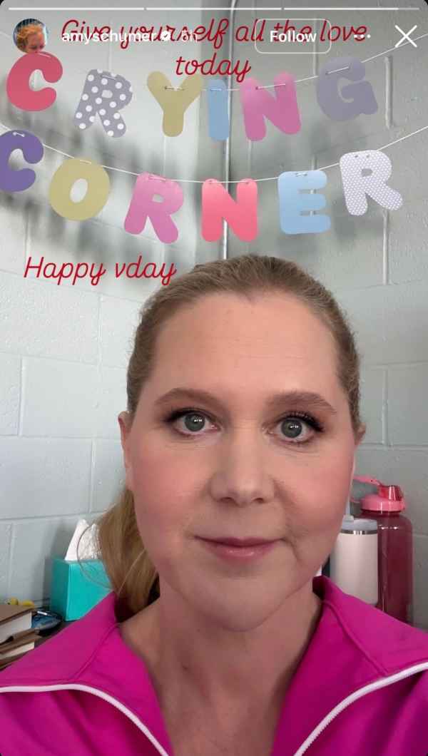 Amy Schumer Creates 'Crying Corner' for Valentine's Day 2026 Amid ...