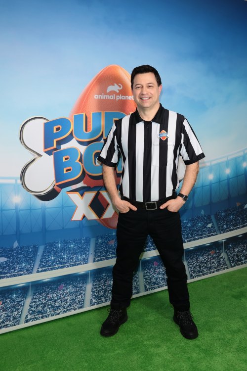 Puppy Bowl Ref Dan Schachner Adopted His Own Dog From the Event (Excl ...